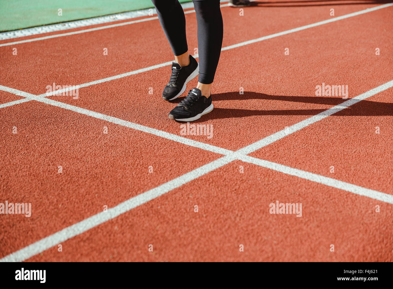 Closeup portrait of female runner legs at stadium Stock Photo - Alamy