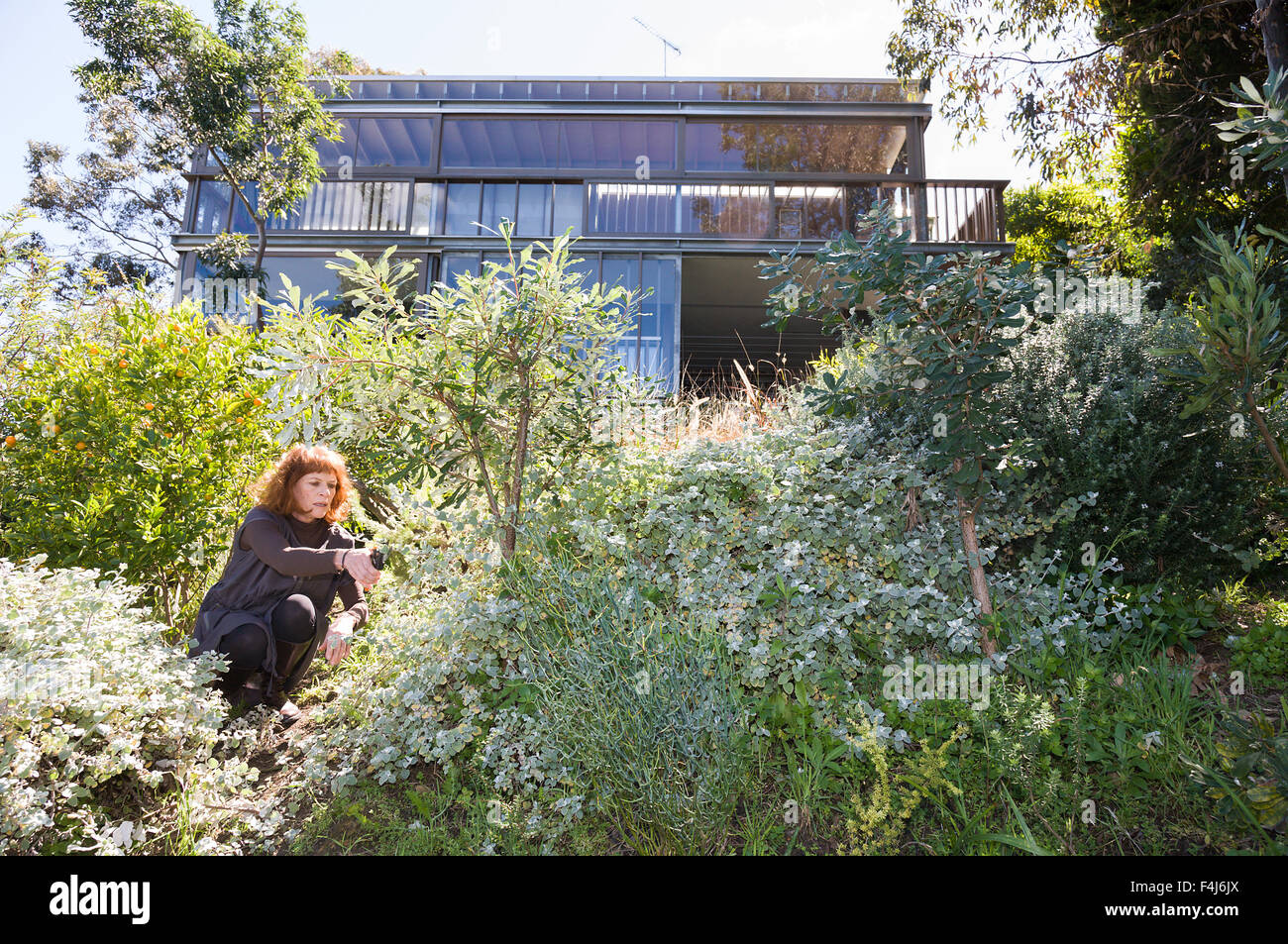 Australian artist Janet Laurence working in her garden in Sydney with ...