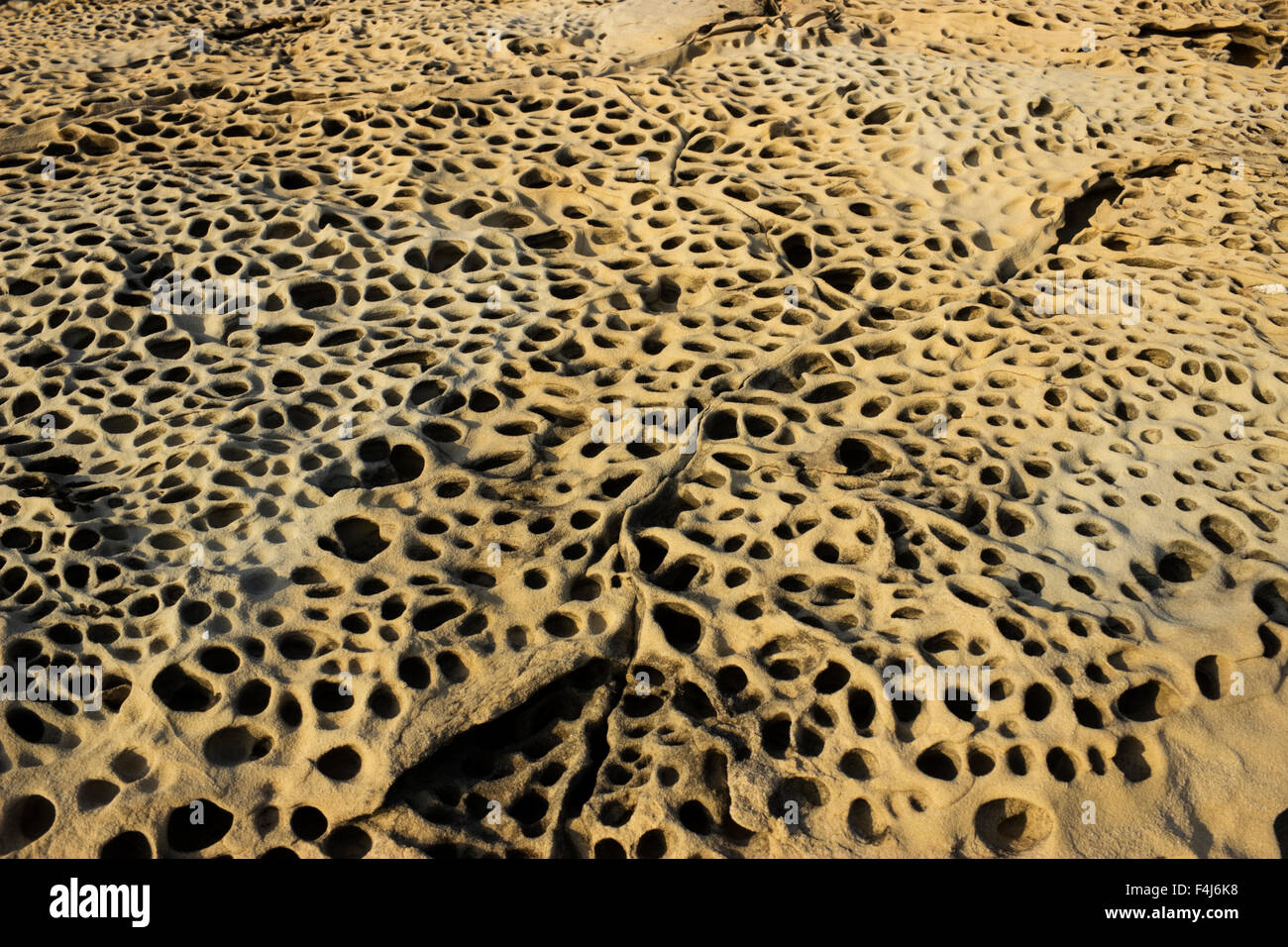 Spongy sandstone hi-res stock photography and images - Alamy