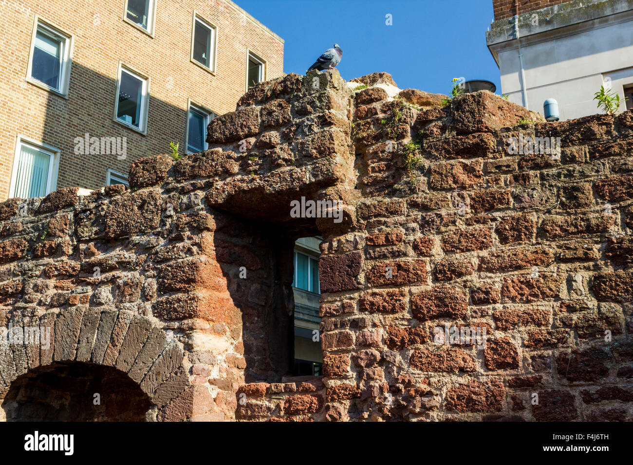 Exeter roman ruins hi-res stock photography and images - Alamy