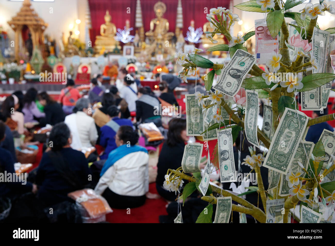 Buddhist money tree to make merit and donate to local temple, Wat ...