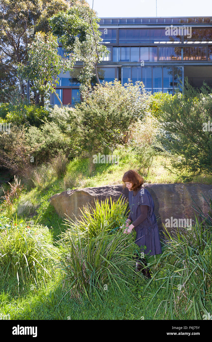 Australian artist Janet Laurence working in her garden in Sydney Stock ...