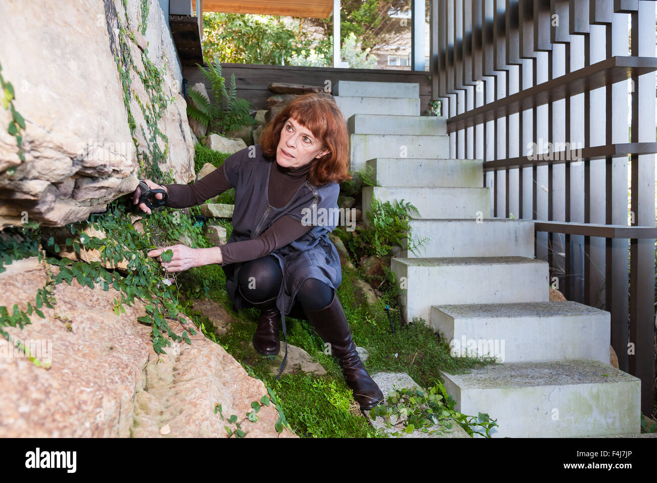 Australian artist Janet Laurence working in her garden in Sydney Stock ...