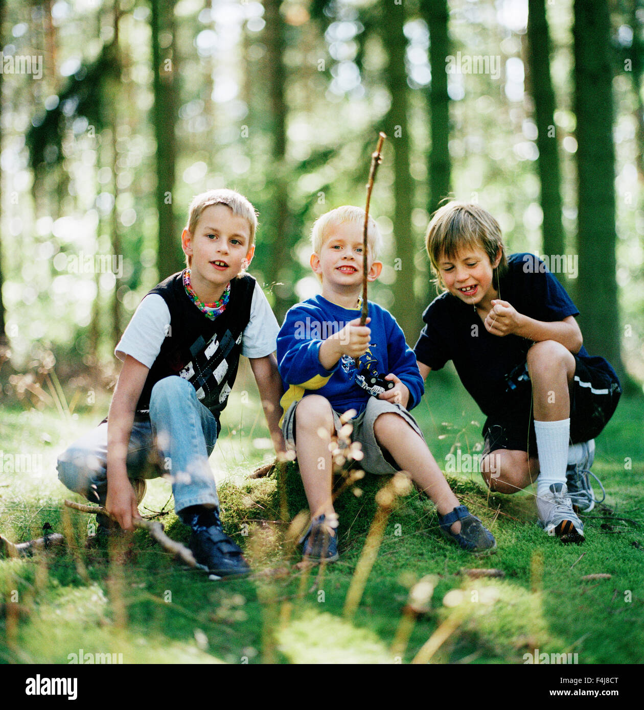 Boys playing in a forest, Sweden Stock Photo - Alamy