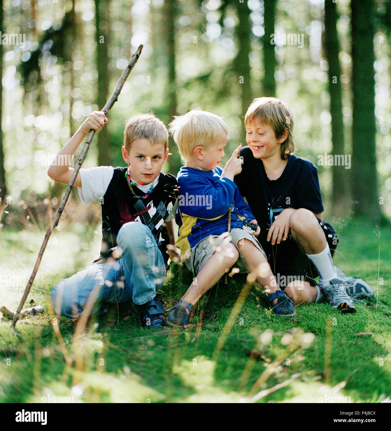 Boys playing in a forest, Sweden Stock Photo - Alamy