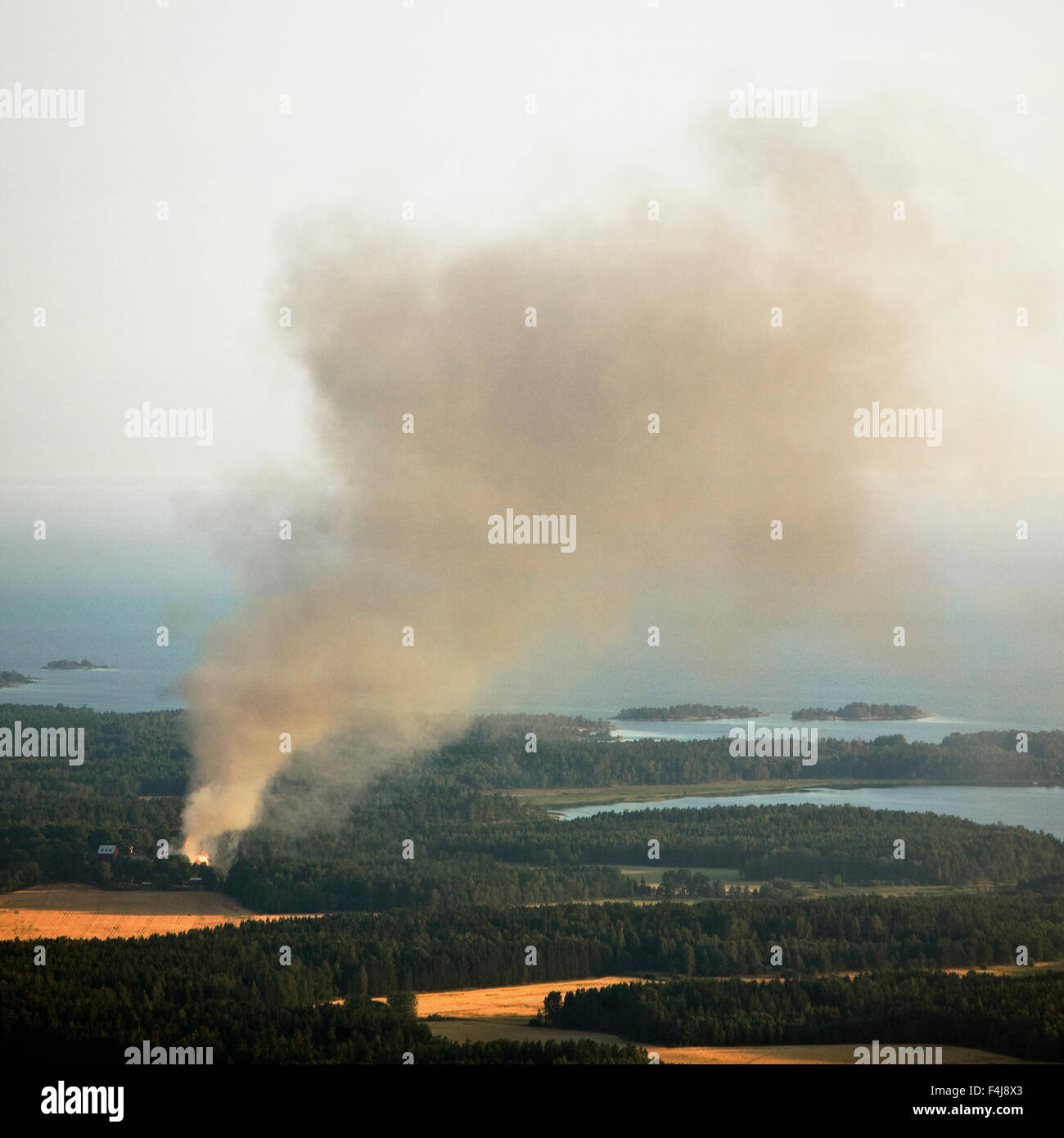 A forest fire Stock Photo - Alamy