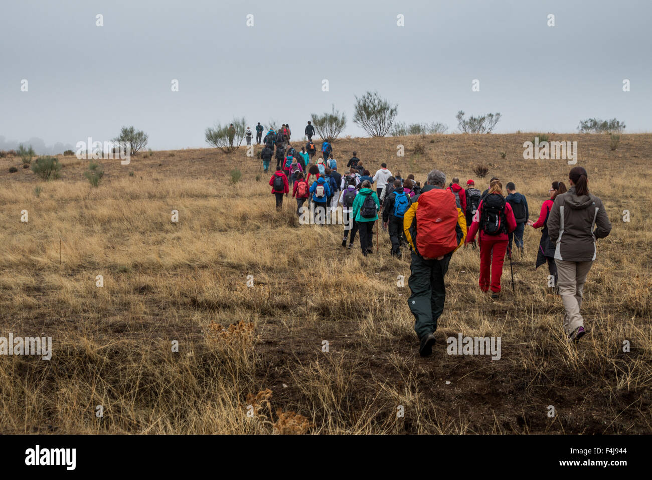 Alberche hi-res stock photography and images - Alamy