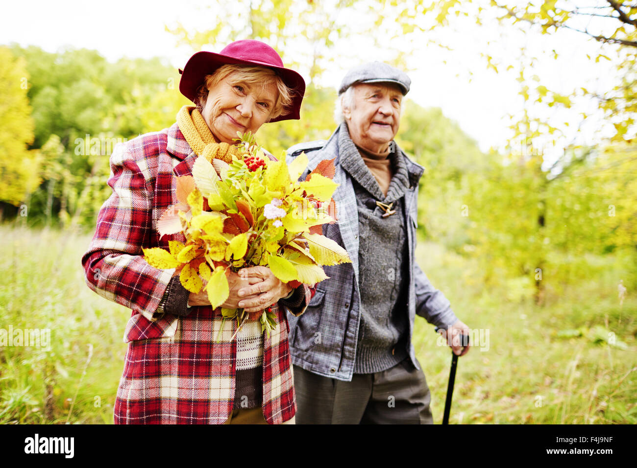 Elderly people walking autumn leaves hi-res stock photography and ...
