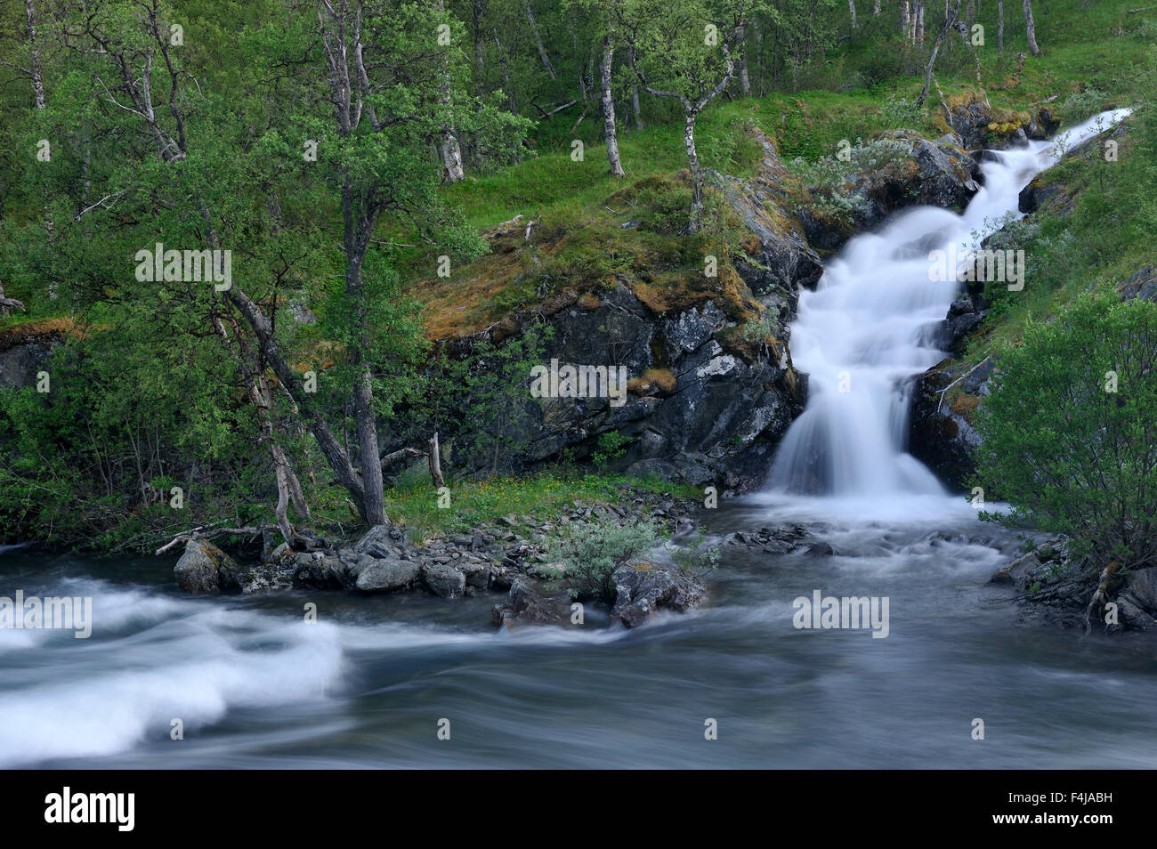 Waterfall at a river Stock Photo - Alamy