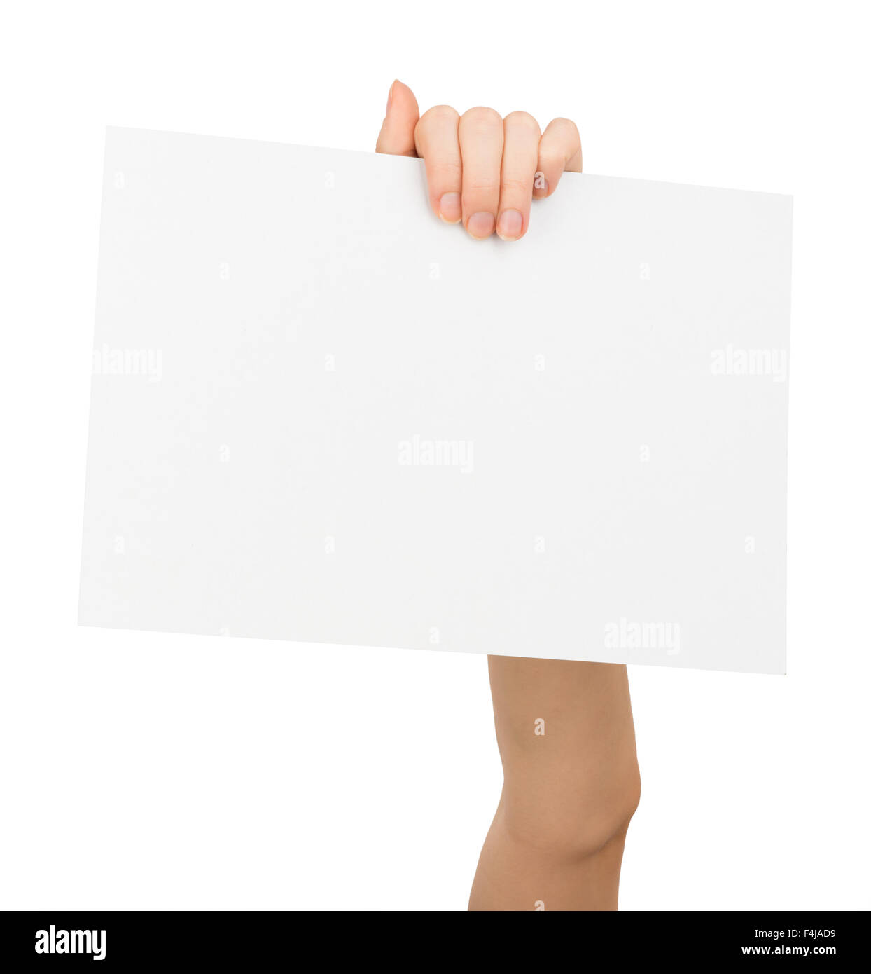 Humans left hand holding big blank card Stock Photo - Alamy