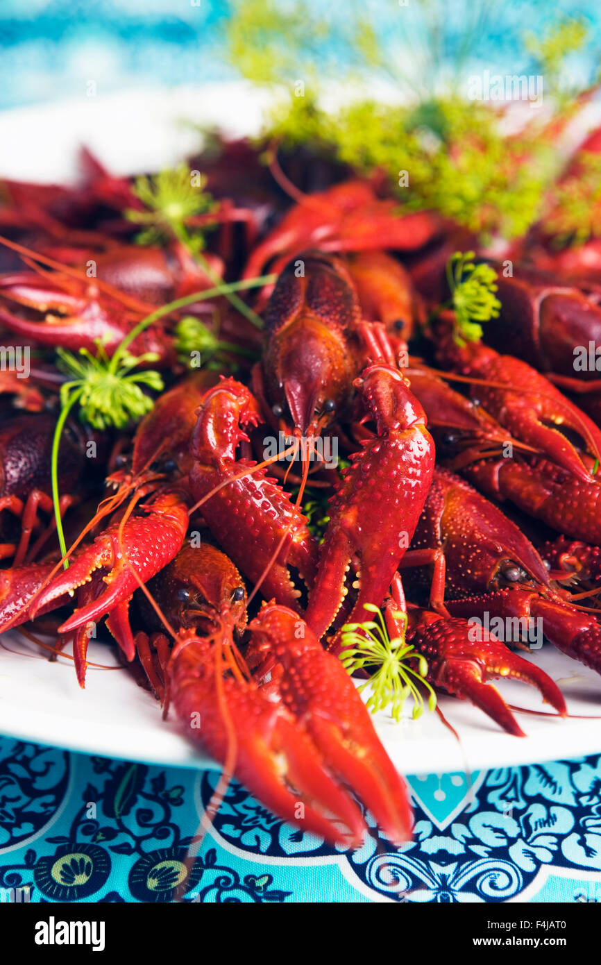 Crayfish red color on hi-res stock photography and images - Alamy