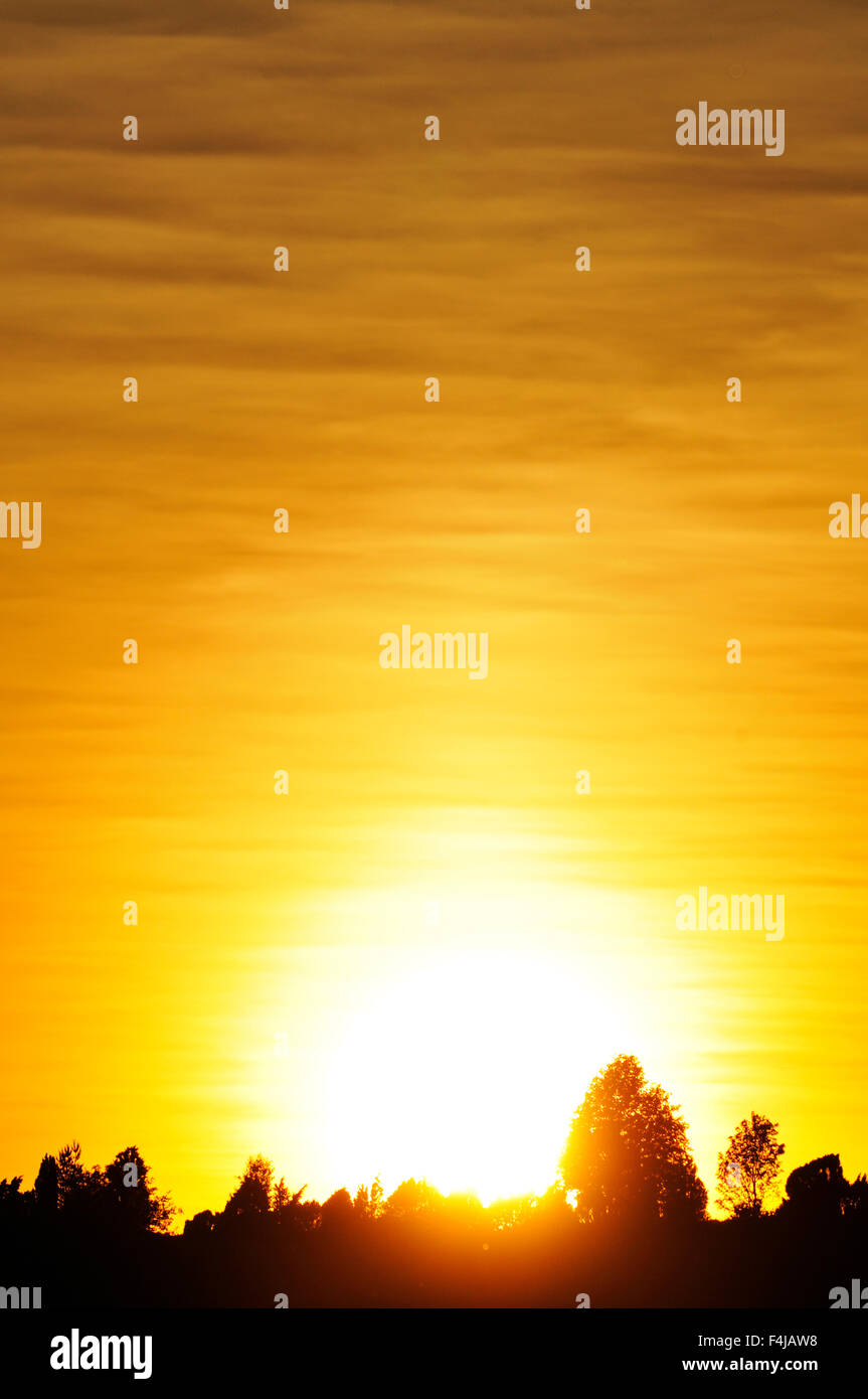 Sunset over forest Stock Photo - Alamy