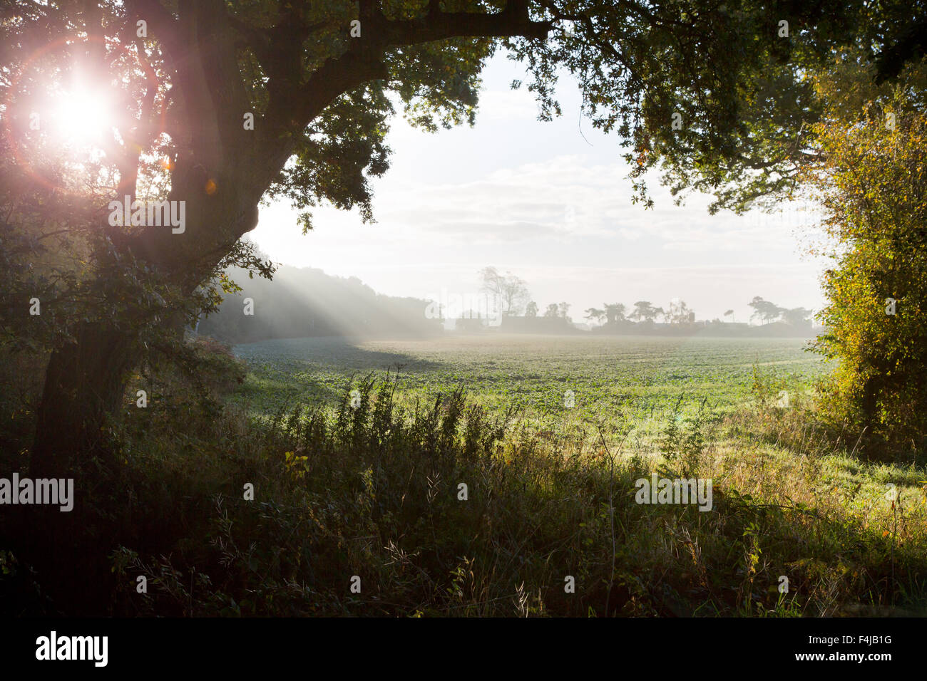 A view of beautiful countryside Stock Photo - Alamy