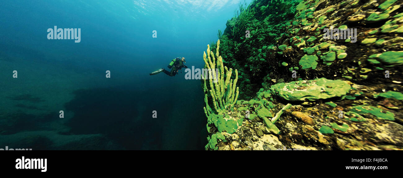 Diver exploring underwater landscape of Lake Baikal, Russia, December ...