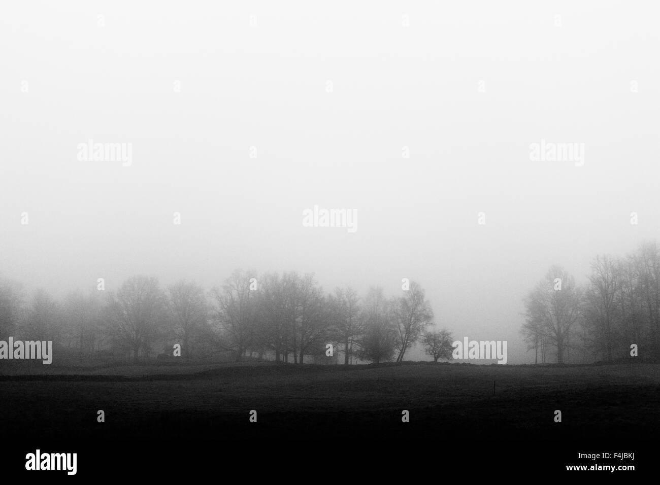 Fog over a field Stock Photo - Alamy