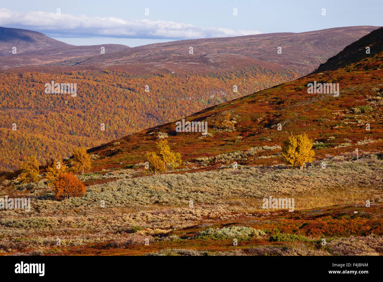 Mountain autumn scenery hi-res stock photography and images - Alamy