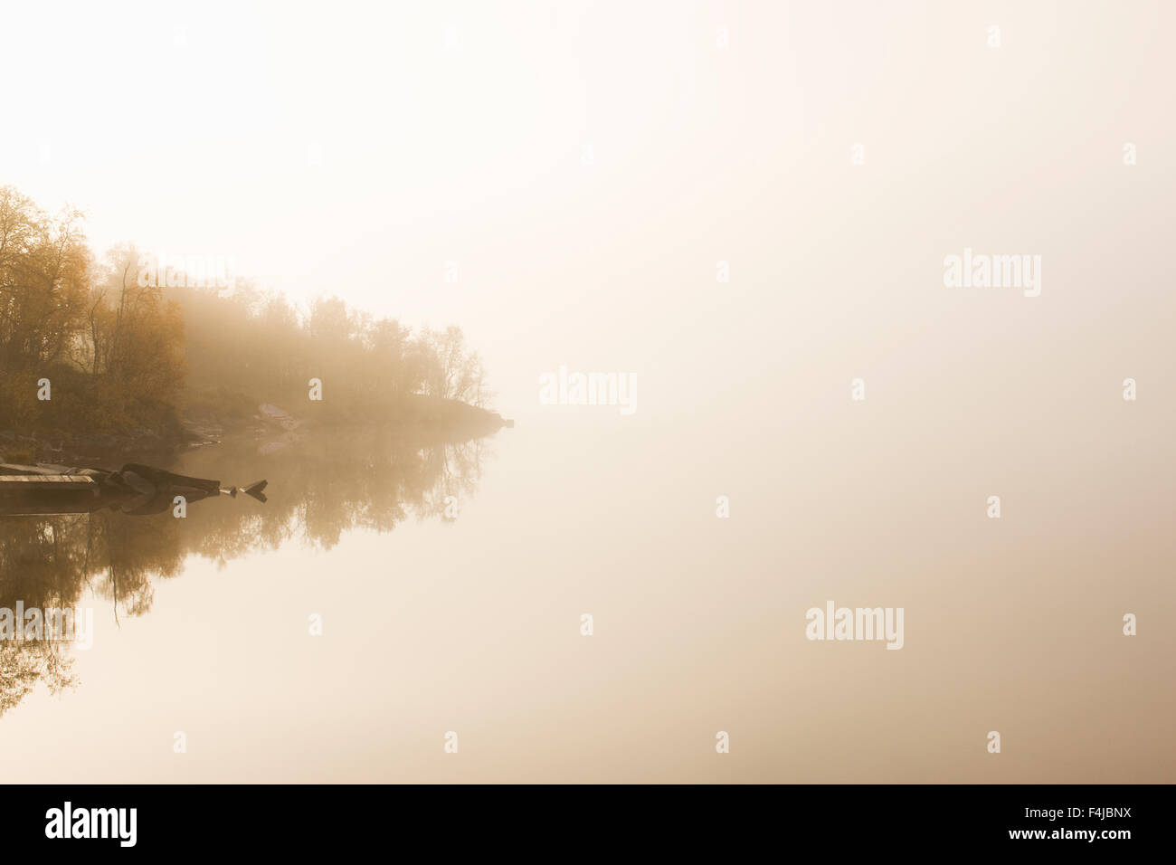 Morninglight through fog Stock Photo - Alamy