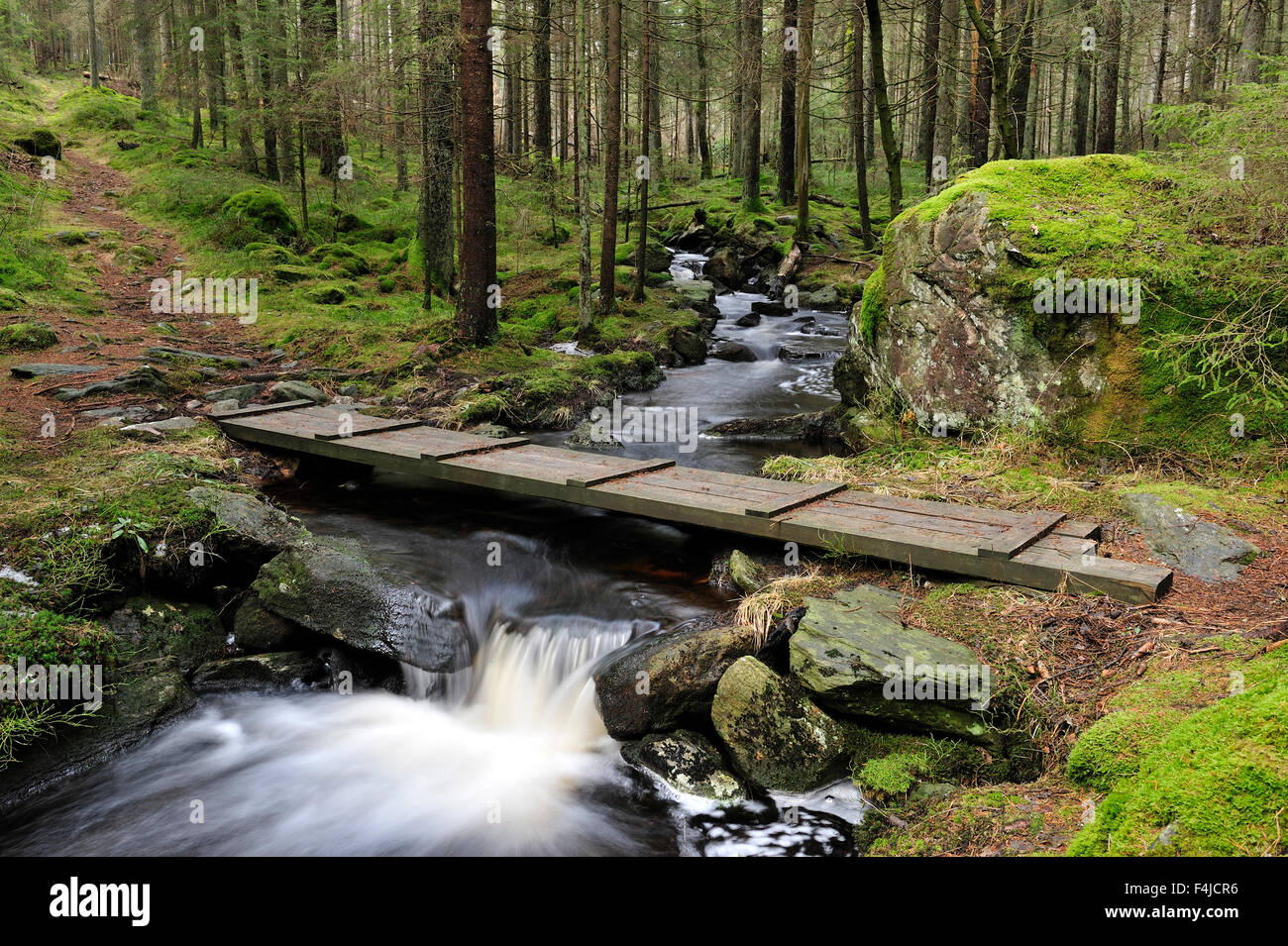 Wooden plank trail hi-res stock photography and images - Alamy