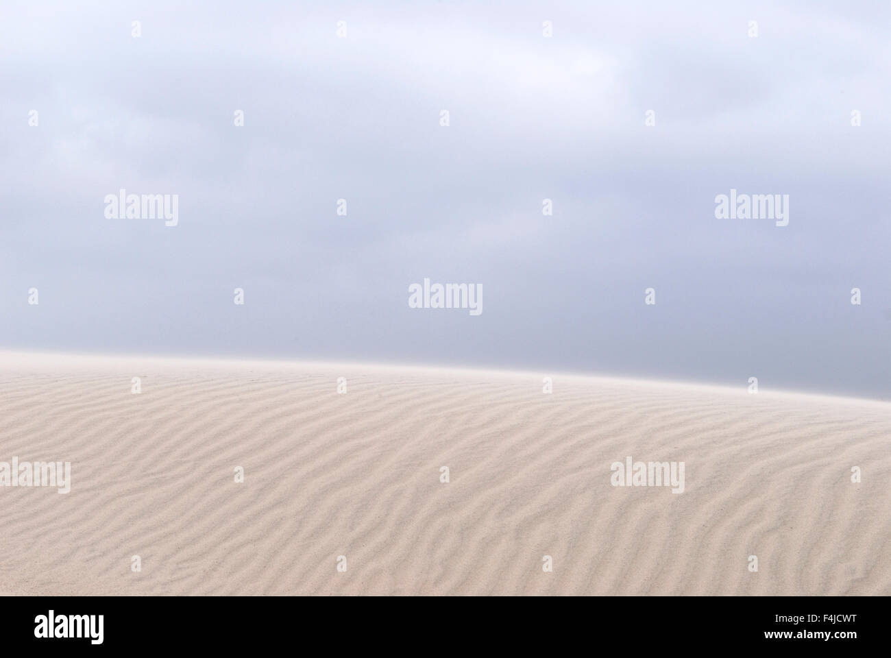 Scandinavia, Denmark, Jutland, View of sandy landscape Stock Photo - Alamy