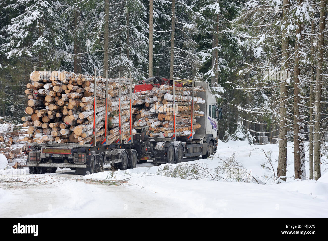 car color image forest industry forestry horizontal industry lumber ...