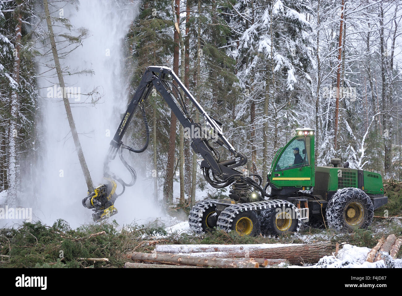 Scandinavia, Sweden, Uppland, Log of wood with crane in background in ...