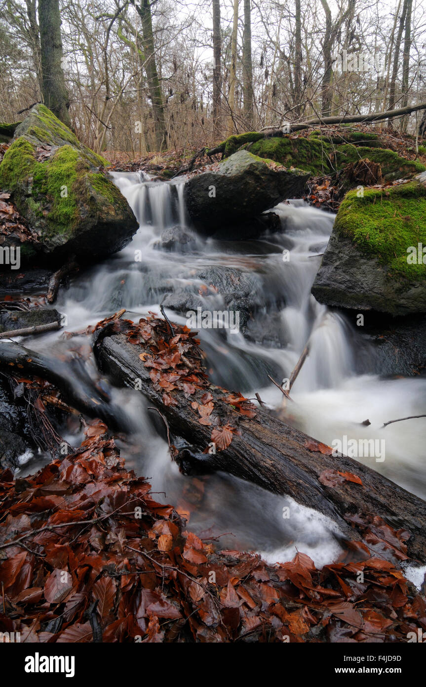 Scandinavia, Sweden, Gothenburg, View of stream Stock Photo - Alamy