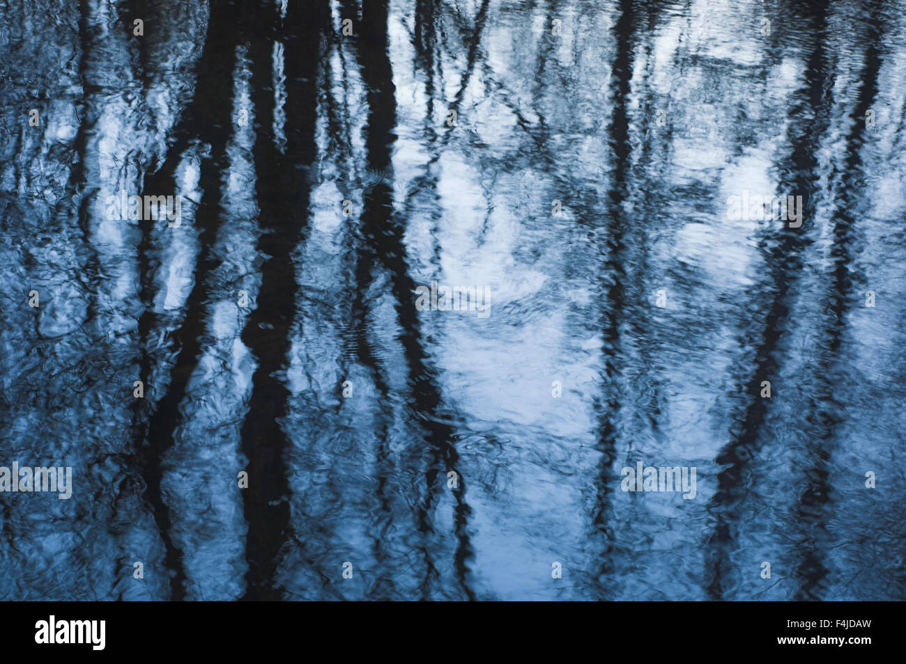 Scandinavia, Sweden, Vastergotland, Reflection of trees in lake Stock ...