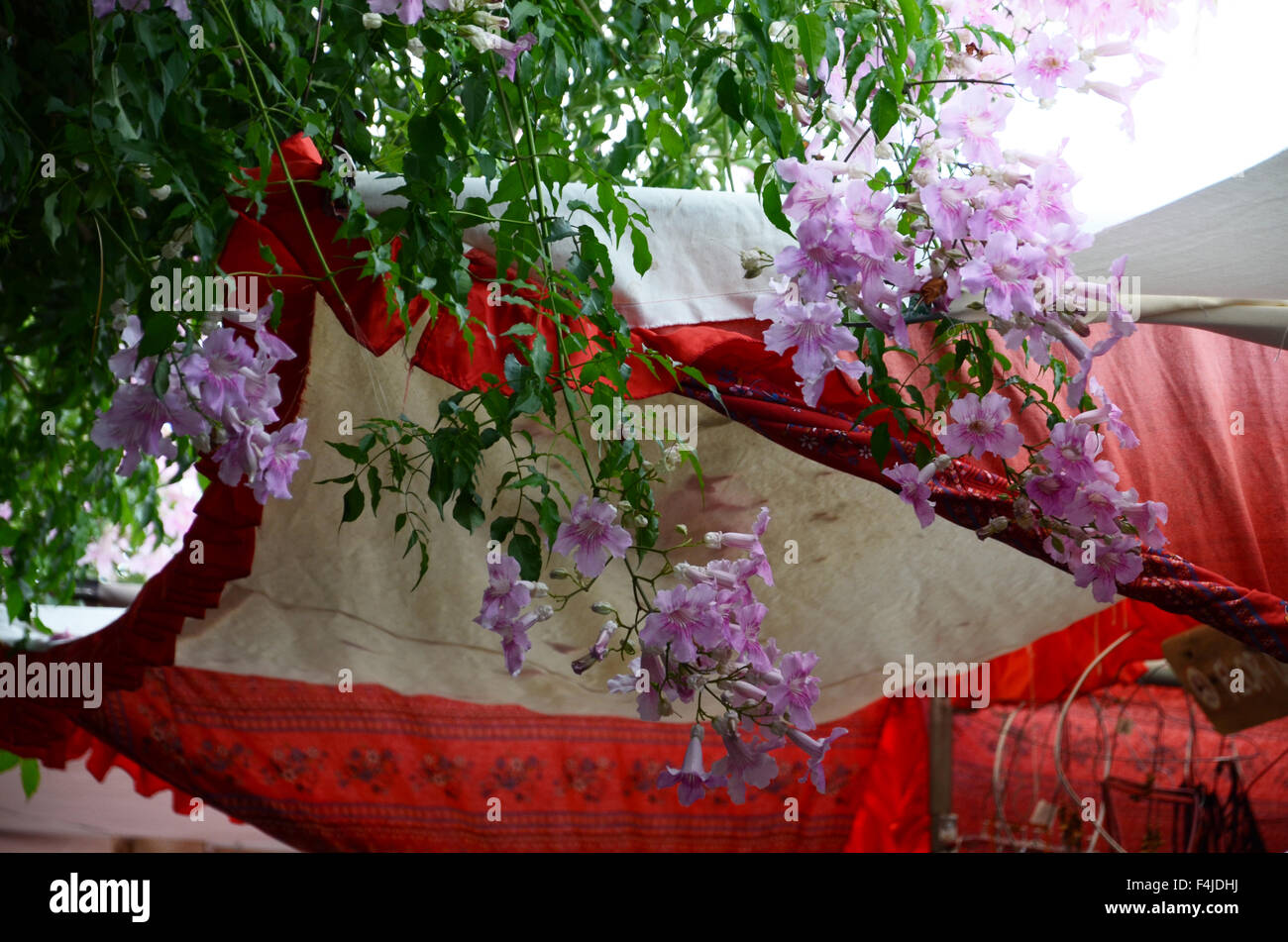 Las Dalias, hippy market at San Carlos on Ibiza Stock Photo - Alamy