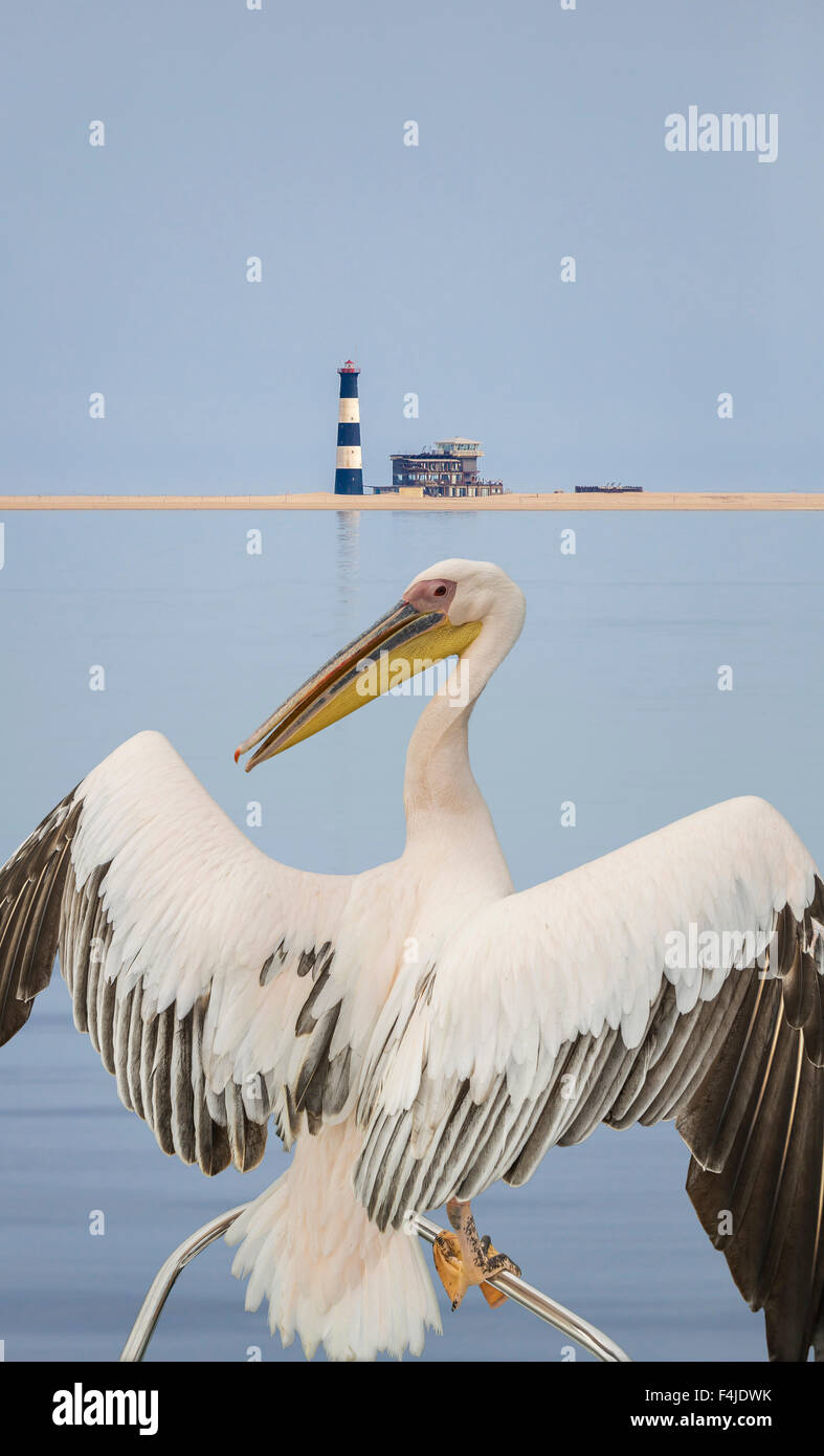 Bay animals hi-res stock photography and images - Alamy