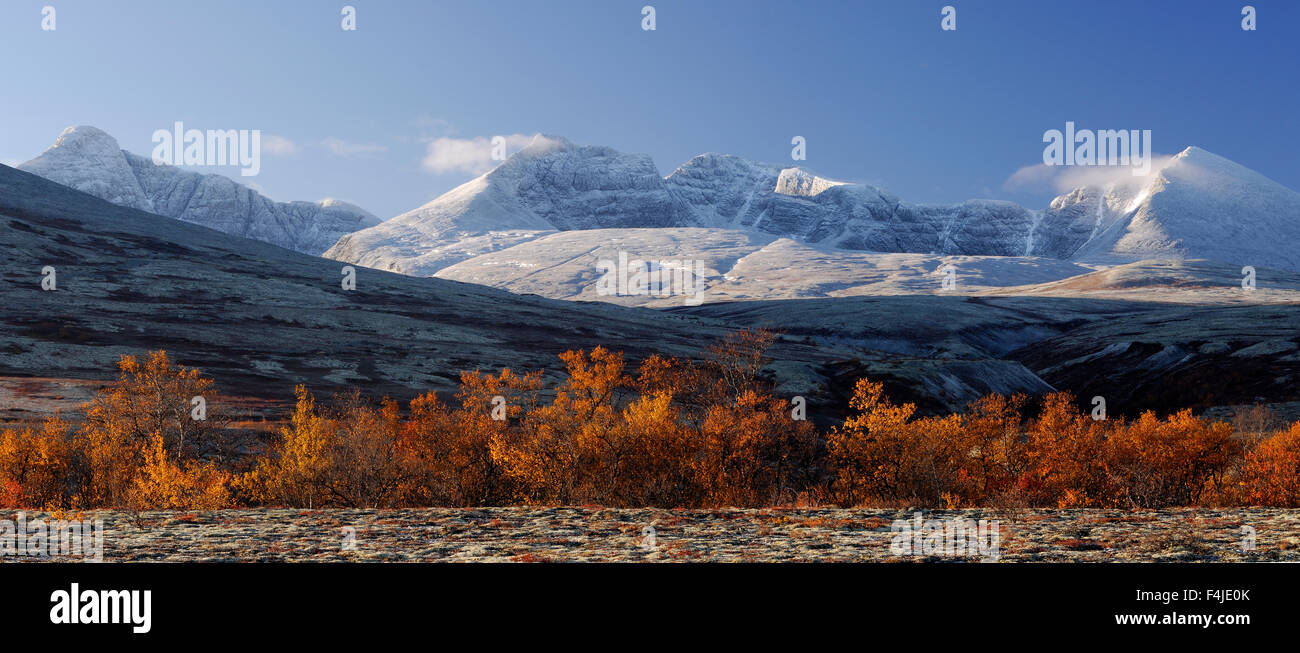 Birch mountains hi-res stock photography and images - Alamy