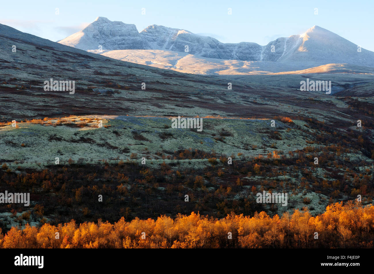 Norway mountain trees hi-res stock photography and images - Alamy