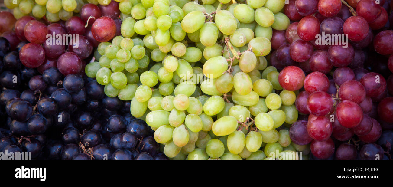 Kinds of grapes hi-res stock photography and images - Alamy