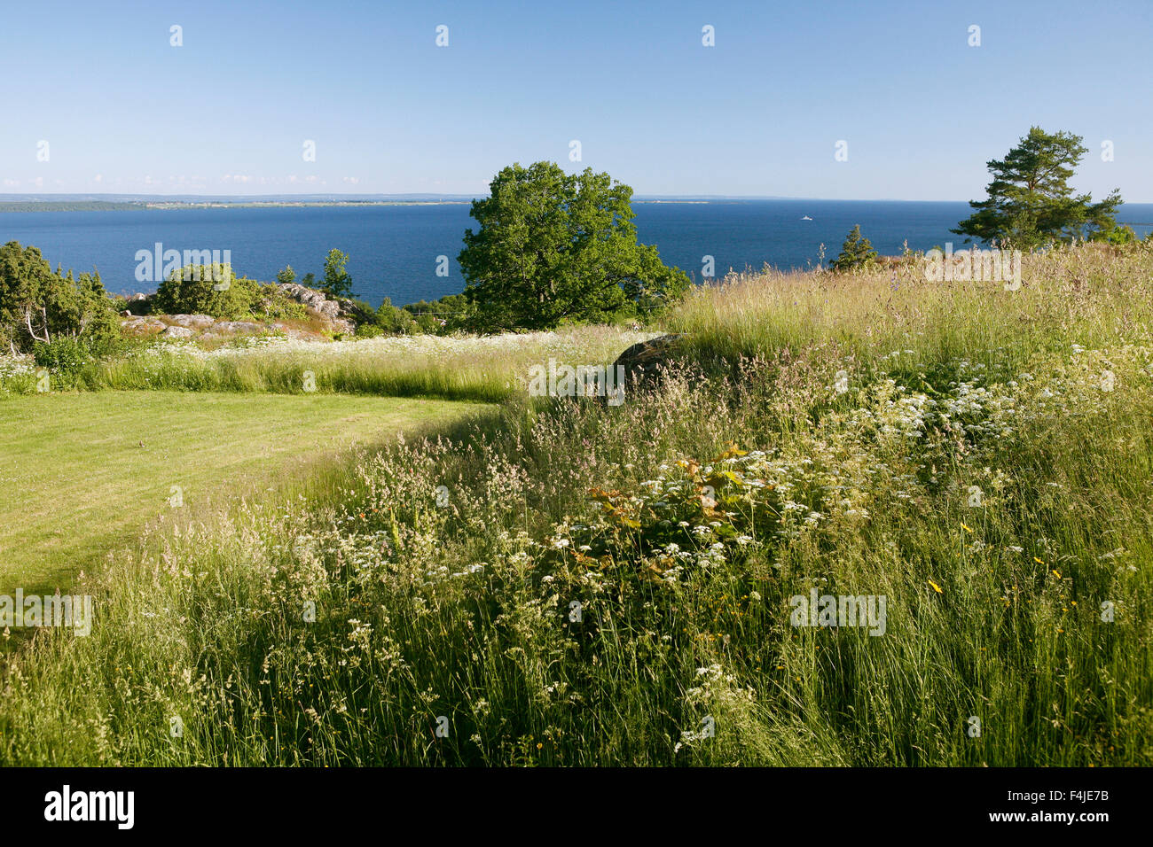 Swedish landscape, Sweden Stock Photo - Alamy