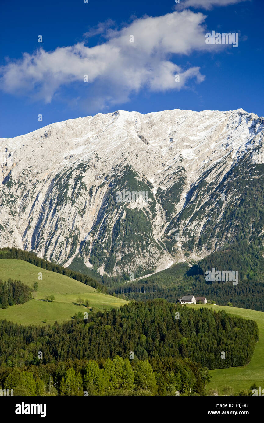 Valley in the Alps, Austria Stock Photo - Alamy