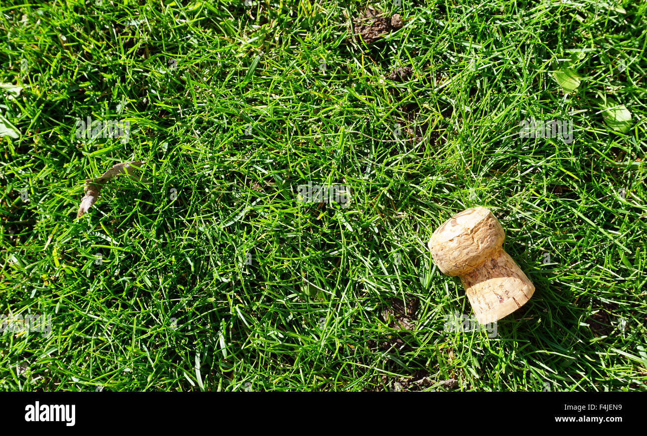 cork object on the grass field Stock Photo - Alamy