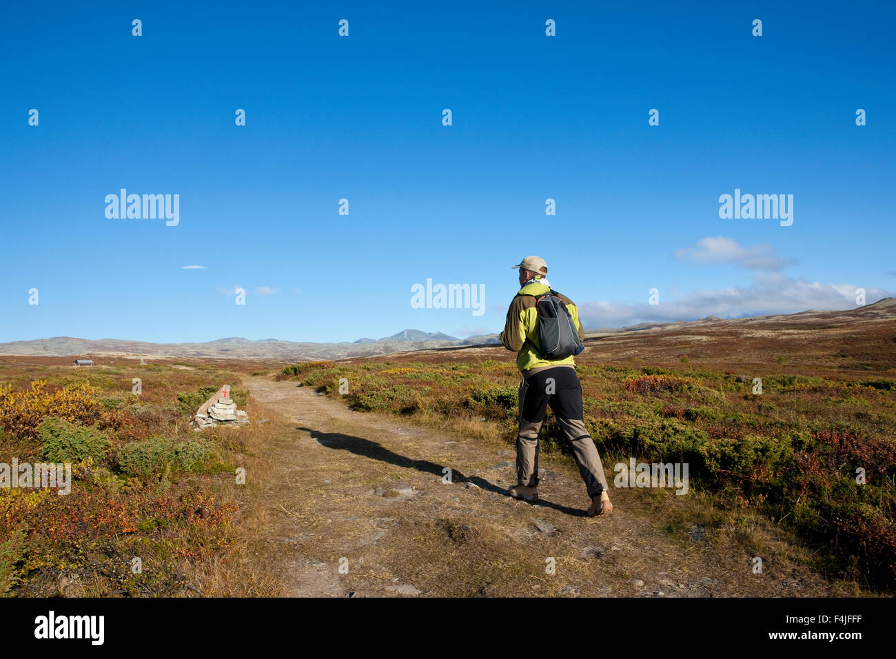 Man walking on landscape Stock Photo - Alamy
