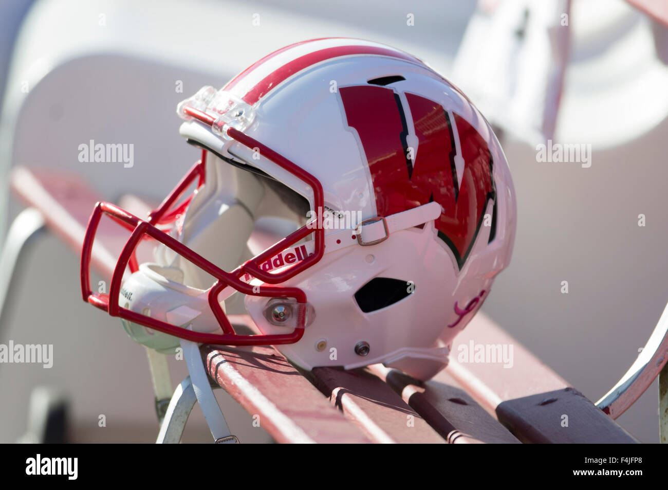 Wisconsin badgers hi-res stock photography and images - Alamy
