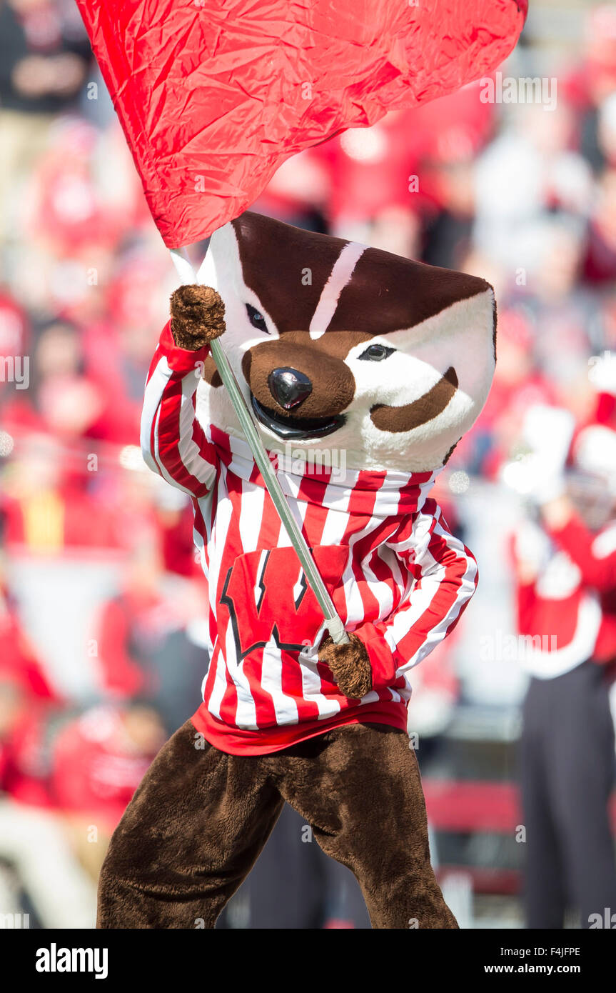 Wisconsin badgers hi-res stock photography and images - Alamy