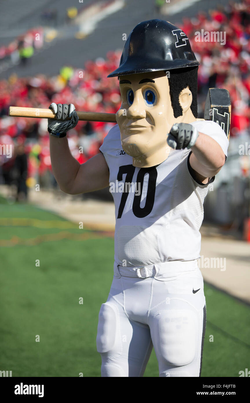 Wisconsin badgers hi-res stock photography and images - Alamy