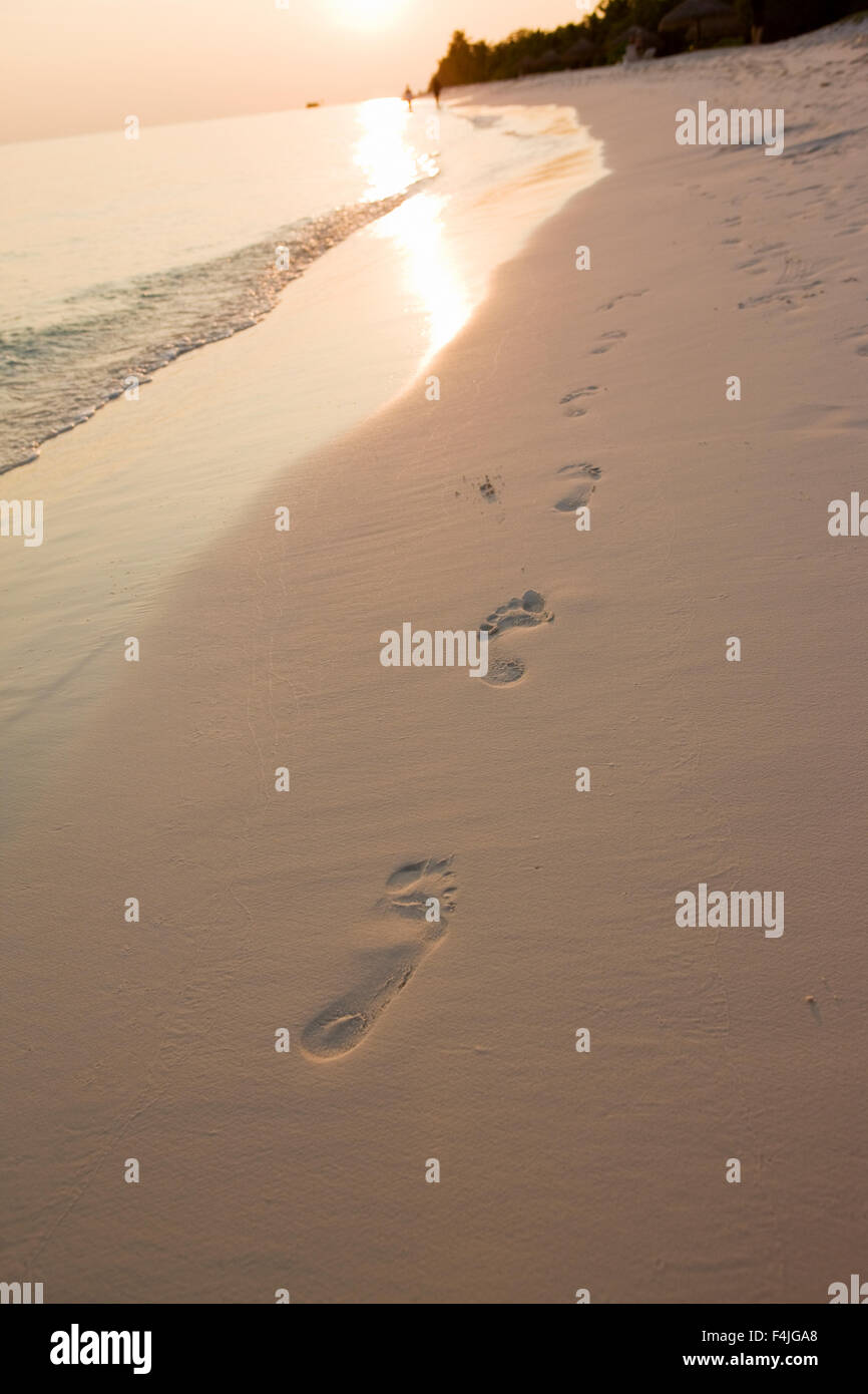 Footprints on sand in beach Stock Photo - Alamy