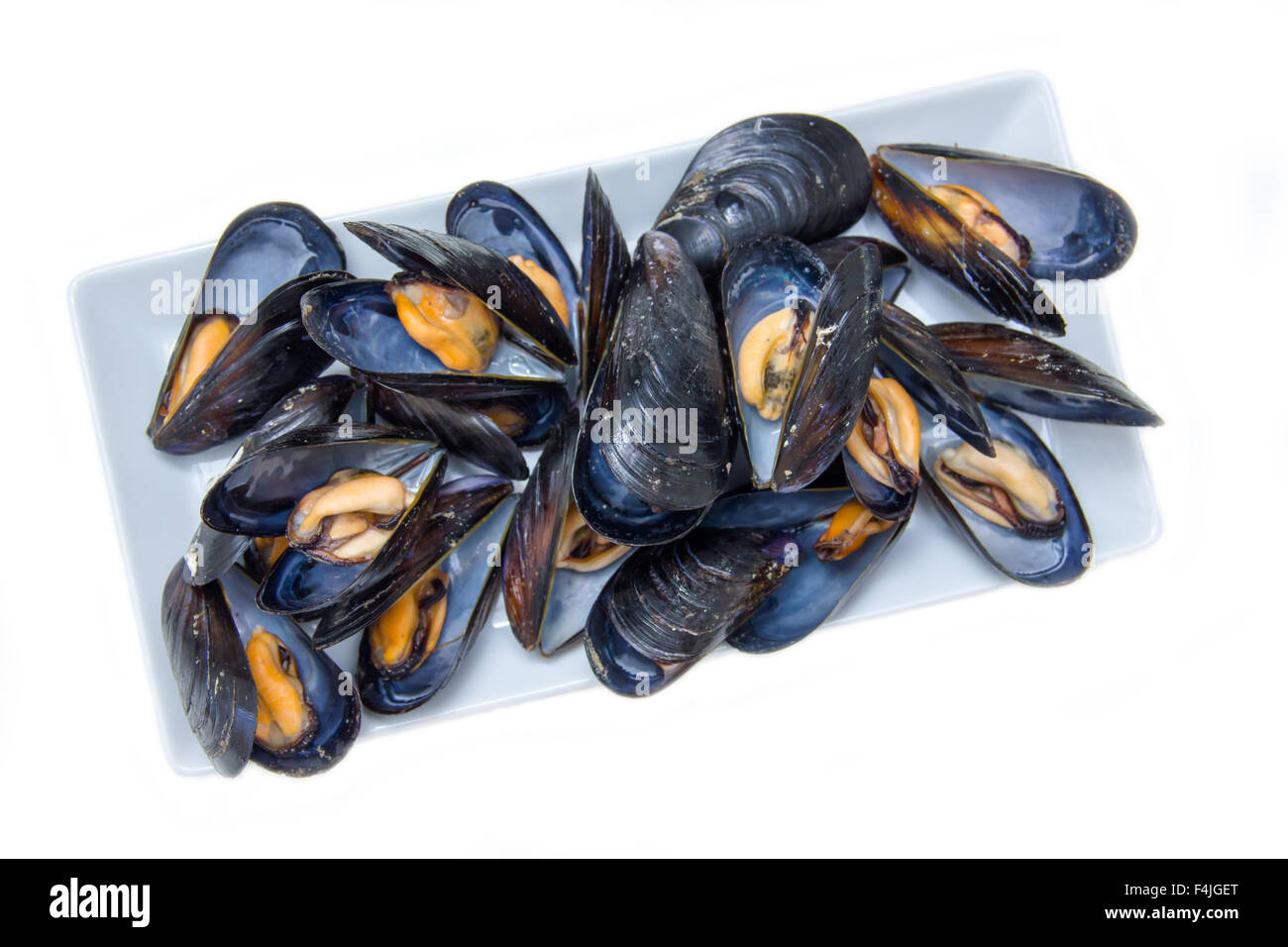 Mussels on the tray on white background seen from above Stock Photo - Alamy