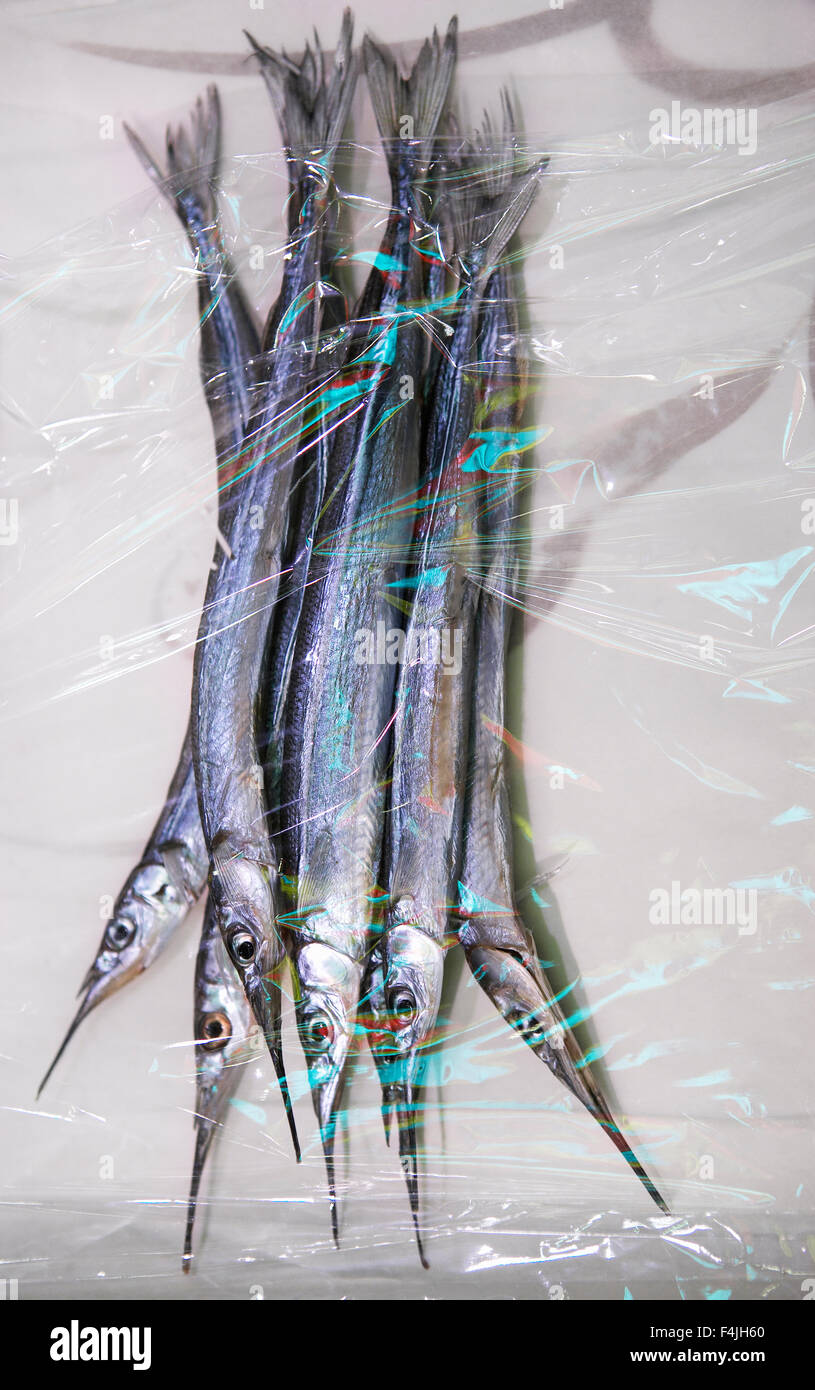 Japan, Kyoto, dried sea fish wrapped in foil Stock Photo - Alamy