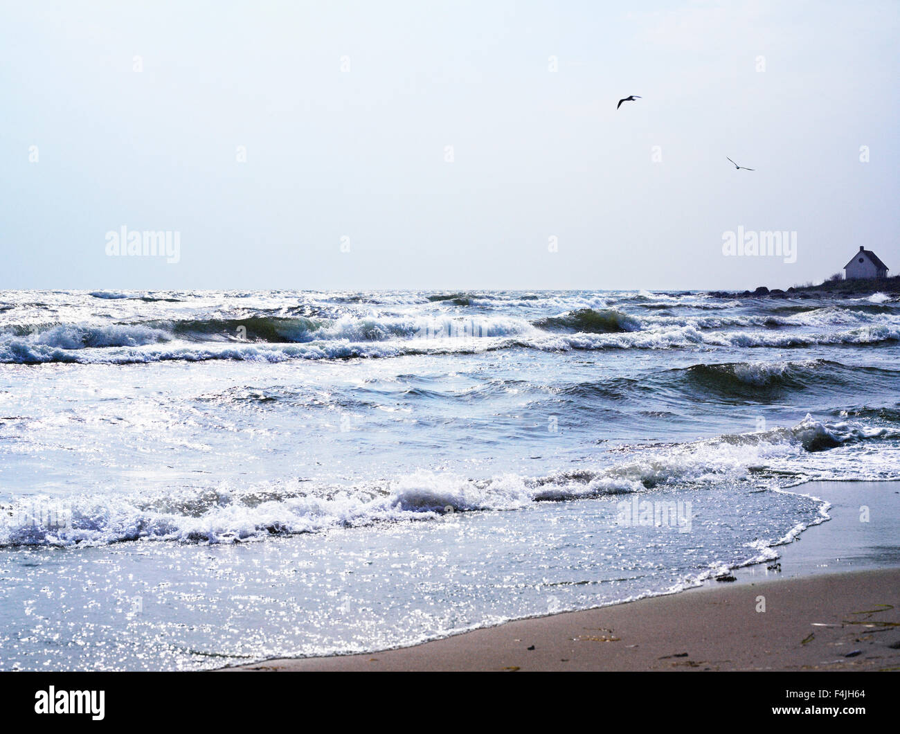 Sweden, Gotland, surf on sandy beach Stock Photo - Alamy