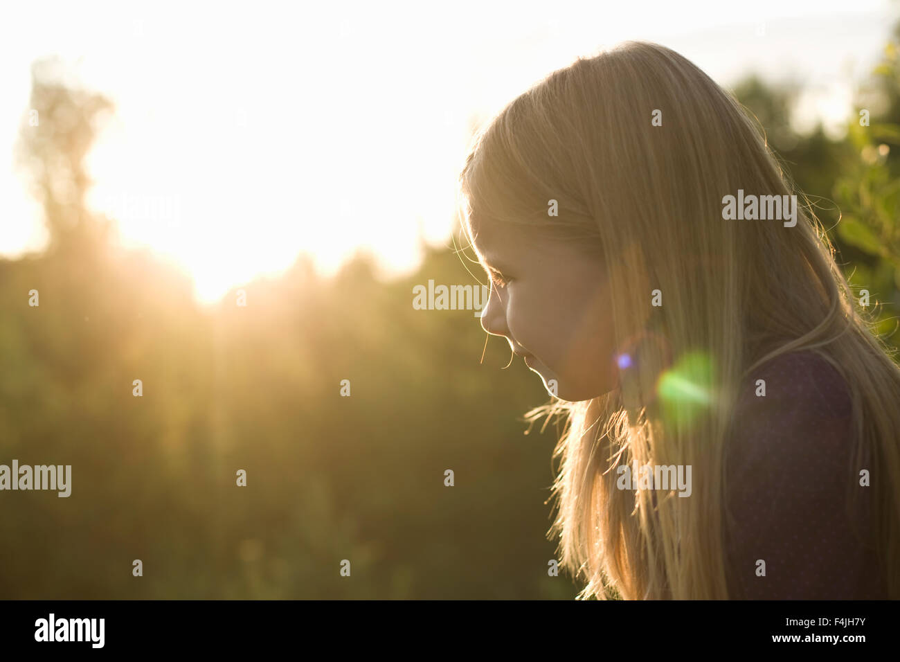 Color profile hi-res stock photography and images - Alamy