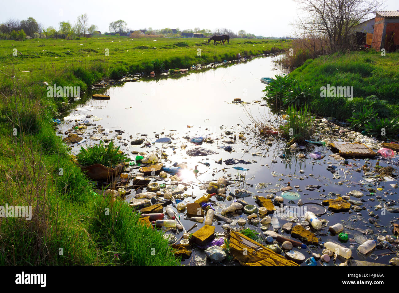 River that is polluted with various garbage and trash Stock Photo - Alamy