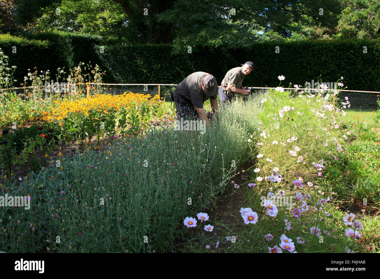 Cotehele, near Saltash, Cornwall, England, United Kingdom Stock Photo ...