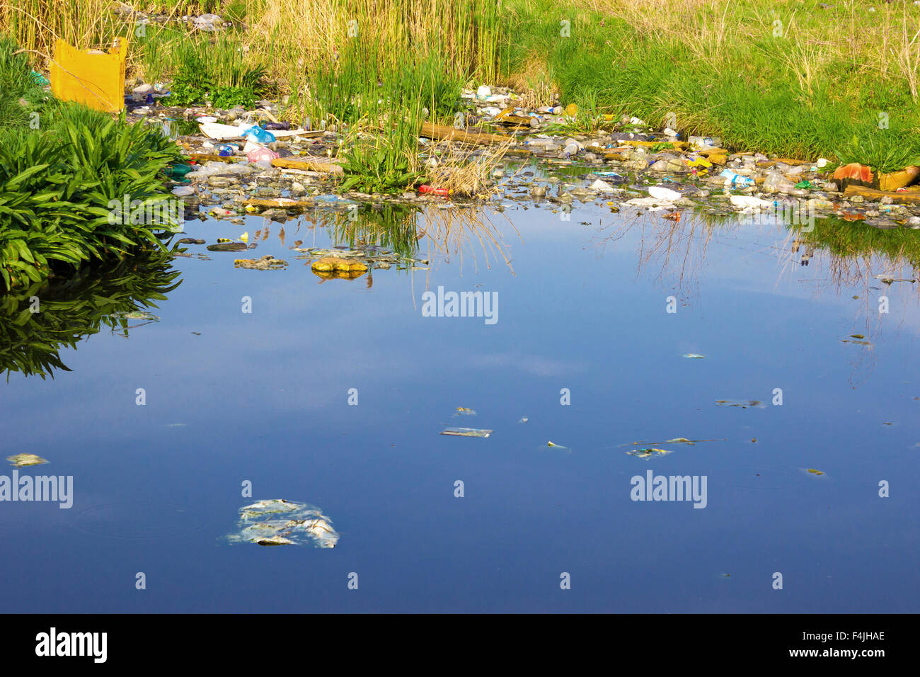 River that is polluted with various garbage and trash Stock Photo - Alamy