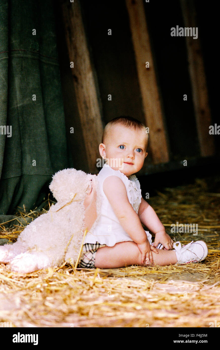 Boy with rabbit hi-res stock photography and images - Alamy