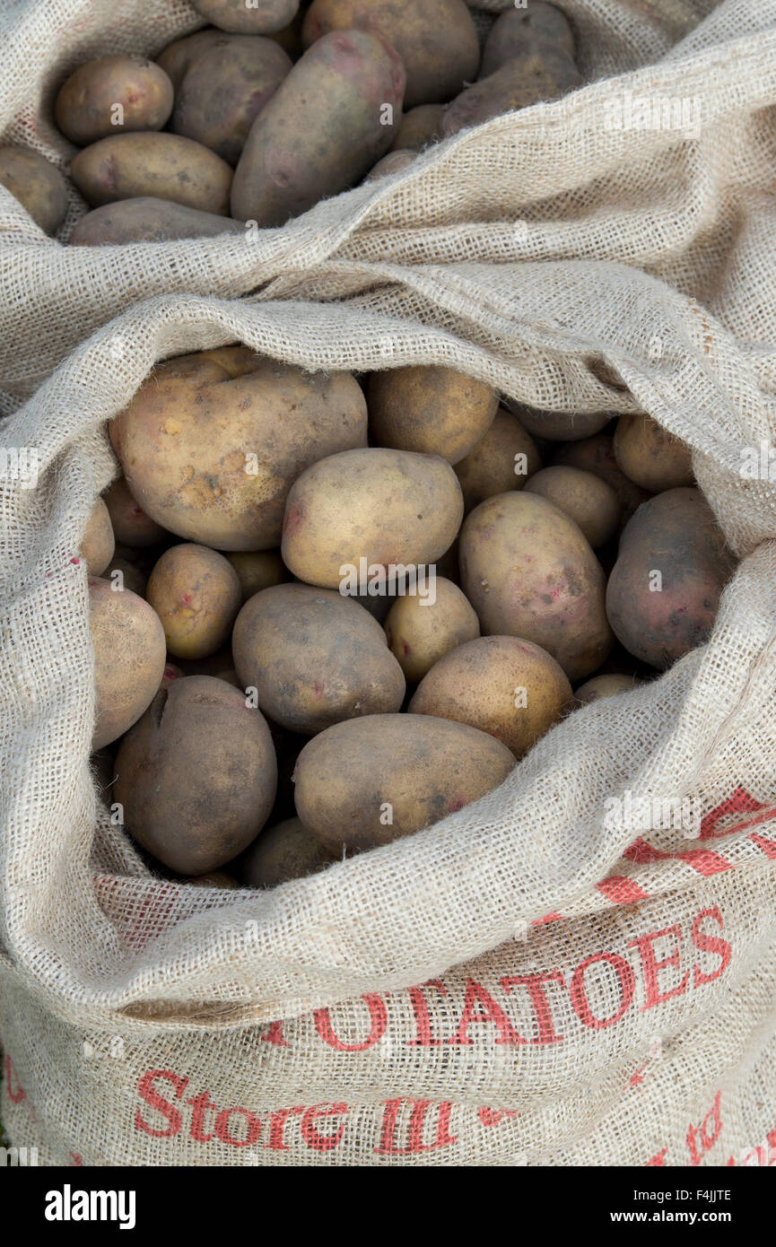 Sacks of potatoes hi-res stock photography and images - Alamy
