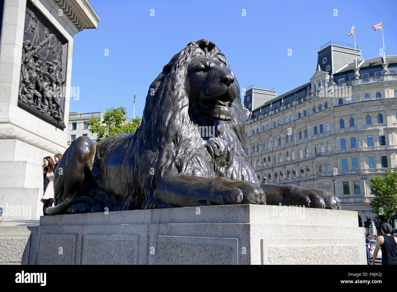 Lion statue, Trafalgar Square, London, Britain, UK Stock Photo - Alamy